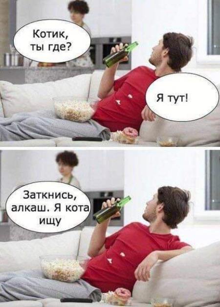 Котик ты где Заткнись алкаш Я кота - выпуск №1031968