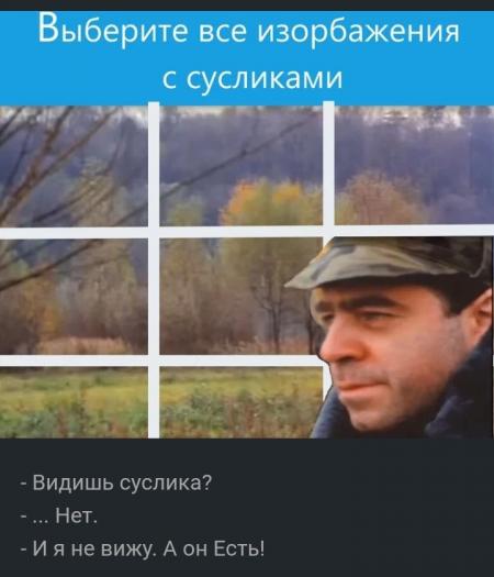 Видишь суслика Нет И я не вижу А он Есть - выпуск №1327269