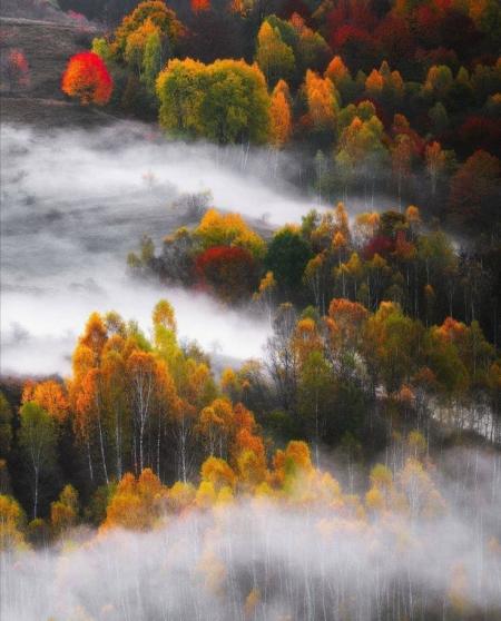 ГыГы Приколы - выпуск №1336666