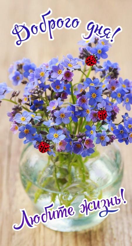 ГыГы Приколы - смешные мемы, видео и фото - выпуск №1405420