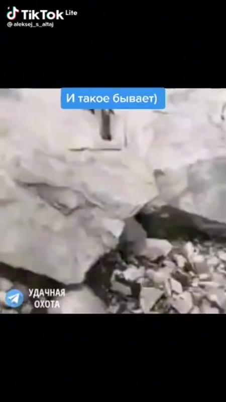 диктат ощддщ - выпуск №1516236