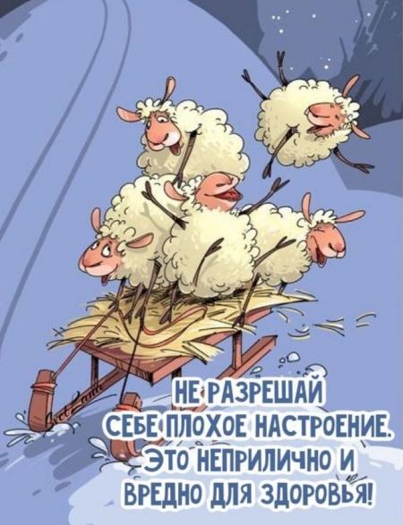 ВРЕДНО дЛЯ ЗДОРОВЬЯ - выпуск №1697348