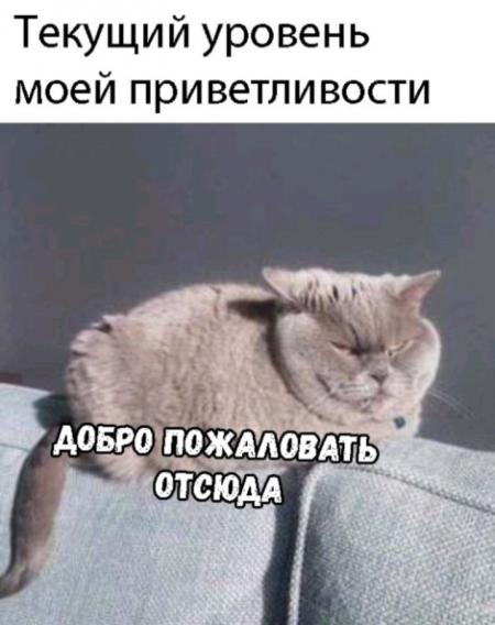 Текущий уровень моей приветливости - выпуск №170397