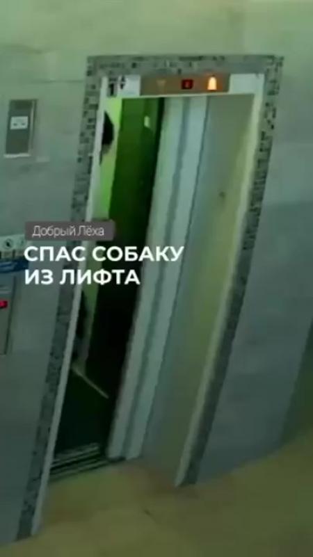 ГыГы Приколы - смешные мемы, видео и фото - выпуск №1732576