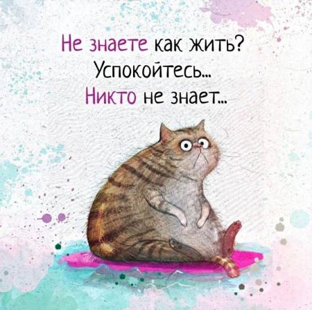 т и Не знаете как жить Успокойтесь Никто не знает - выпуск №1854087