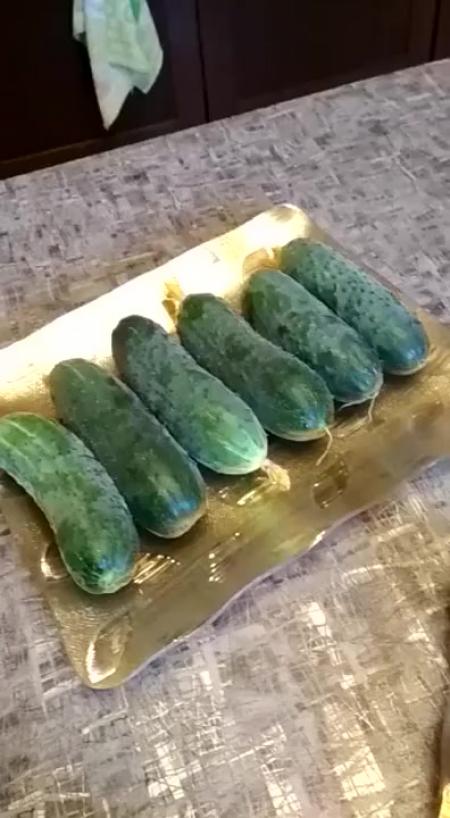 ГыГы Приколы - выпуск №2102025