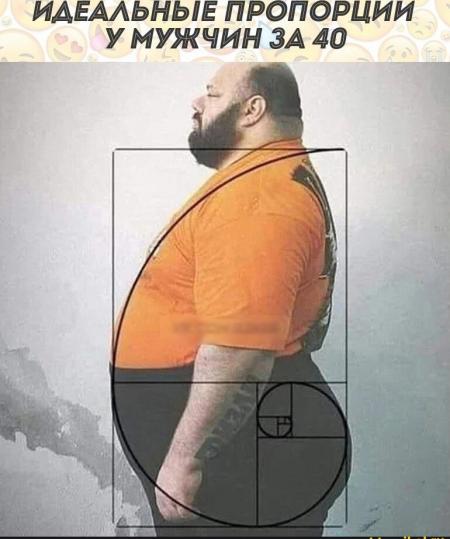 ИАЕААЬНЫЕ ПРОПОРЦИИ У МЮКЧИН ЗА 40 - выпуск №2179705