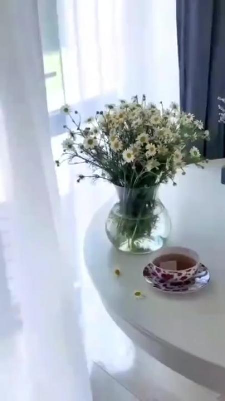 Furiß ш sis - выпуск №3154099
