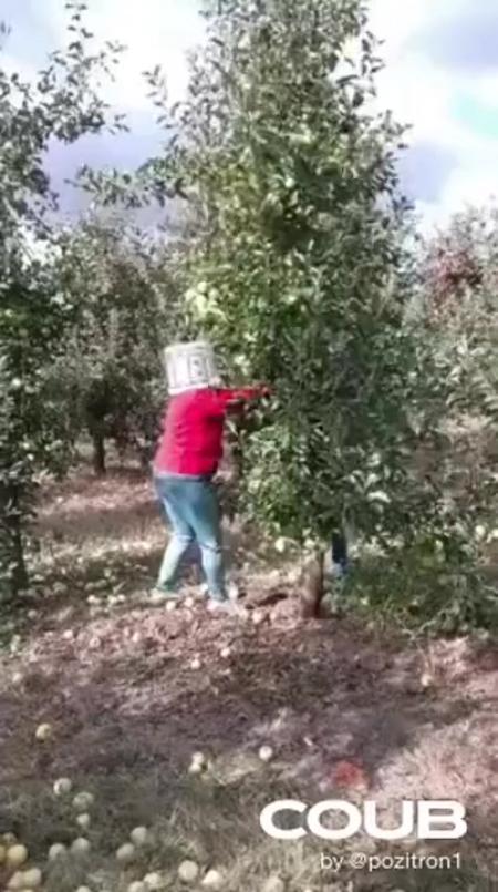 Кто ты, воин? Ахиллес. Сын Пелея. Ахиллес. - выпуск №3214575