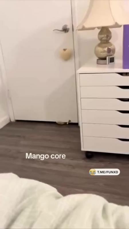 Mango core - выпуск №3270086