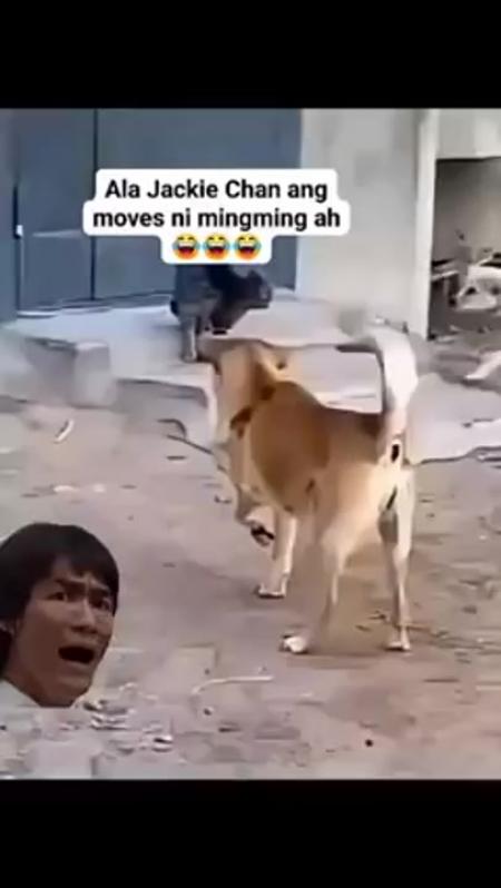 Ala Jackie Chan ang moves ni mingming ah 😂😂😂 - выпуск №3329104