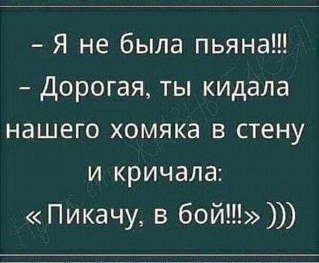 Я не была пьяна Дорогая ты кидала нашего хомяка в стену и кричала ...