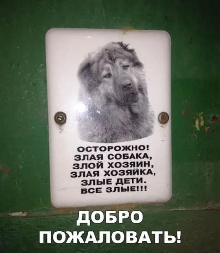 осторожная злдя СОБАКА злой хозяин зтхя хозяйкм злые дЕТИ всЕ злые ...
